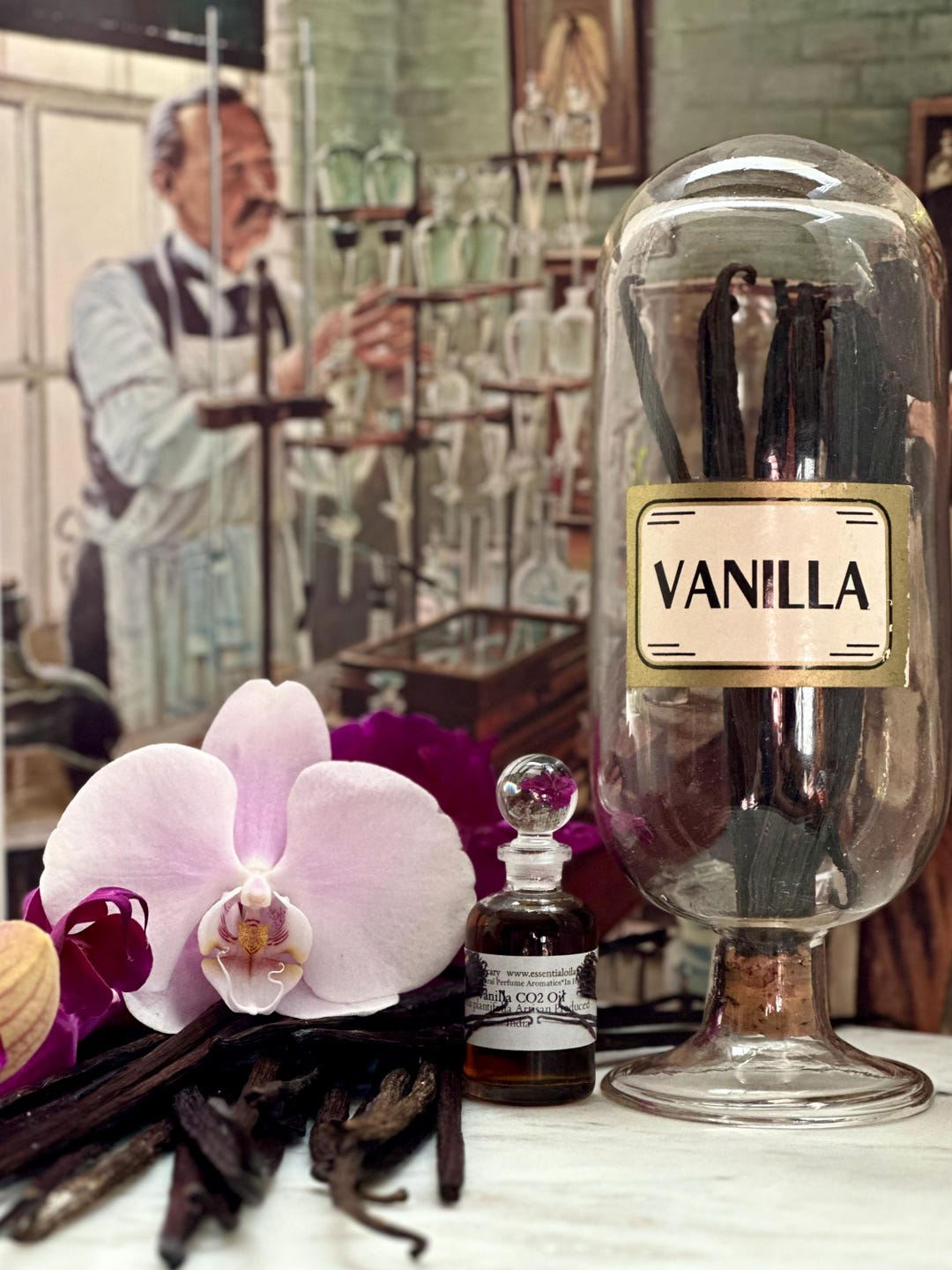 Vanilla CO2 Oil Vanilla Plantifolia Artisan Production India Vanilla ...