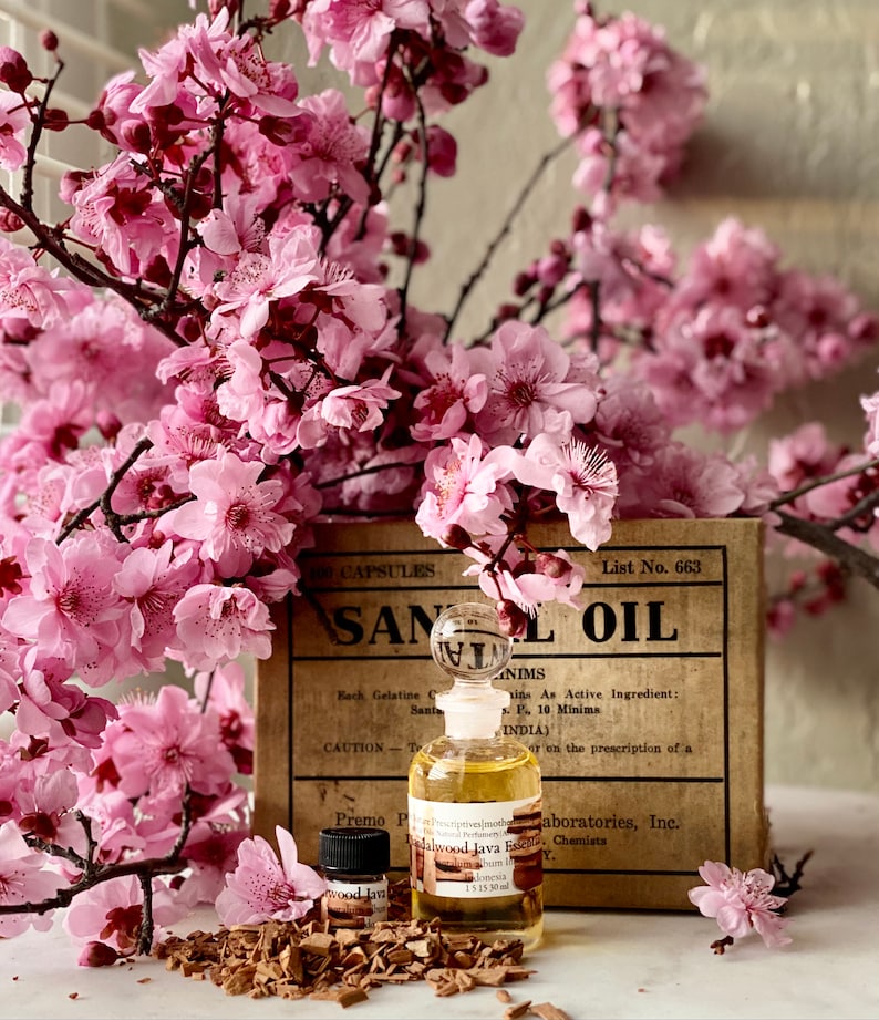 Java Sandalwood Indonesian Essential Oil Indonesia Rare Santalum Album ...