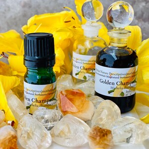 Golden Champaca Absolute Oil Michelia Champaca India Fruit Notes ...