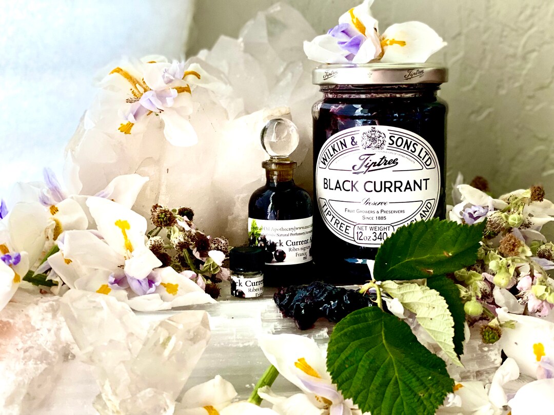 Black Currant Bud Absolute Ribes Nigrum France Green Notes Fruity ...