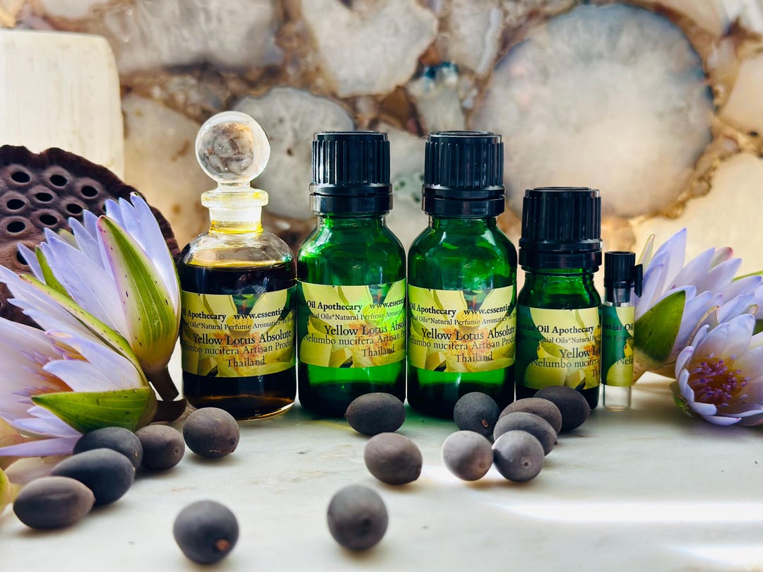 Yellow Lotus Absolute Oil Nymphaea Thailand Buddhist Symbol Bua Hexane ...