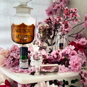 Aged Musk Tincture Moschus Moschiferus Master Perfumer Created Limited ...
