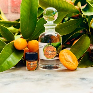Dalandan (citrus Aurantium) Essential Oil Filipino Orange Oil Small ...
