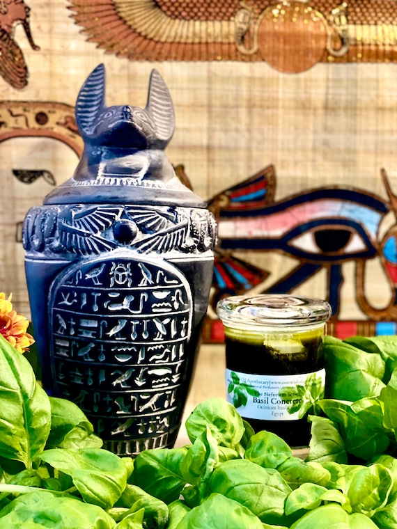 Basil Concrete Ocimum Basilicum Egypt Organic Solid Perfume - Etsy