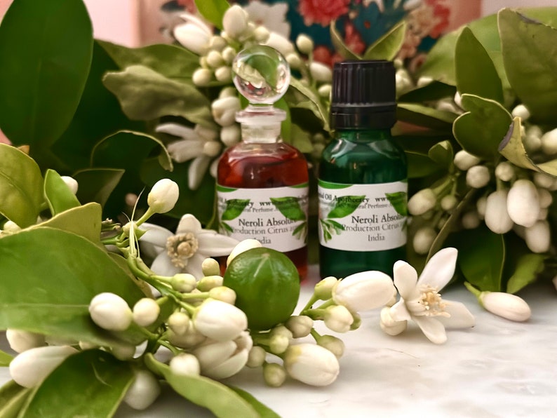 Neroli Absolute India Rare Citrus Aurantium Amara Natural Perfume ...