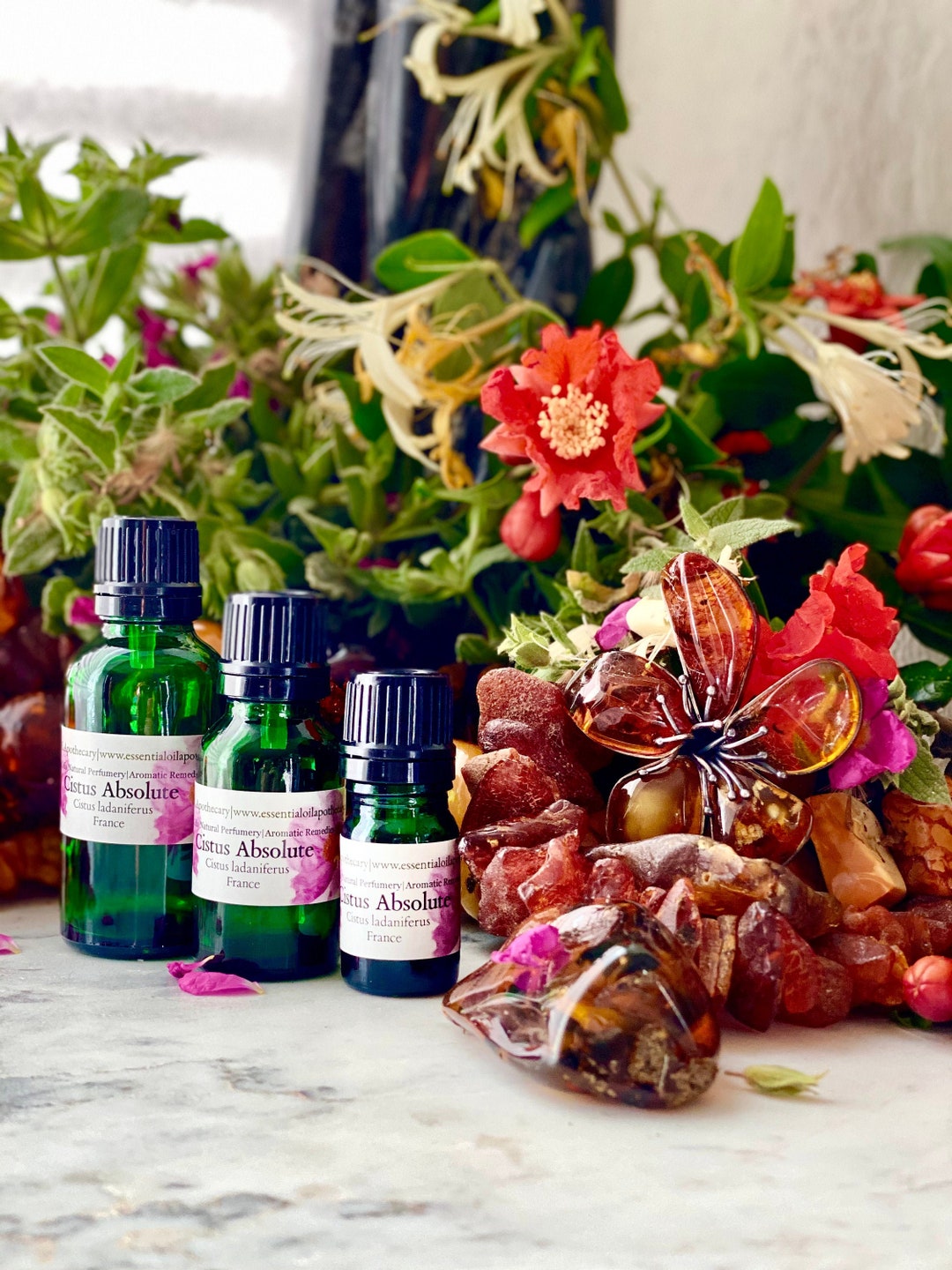 Cistus Absolute Rock Rose Cistus Ladaniferus France Amber Scent Wild ...