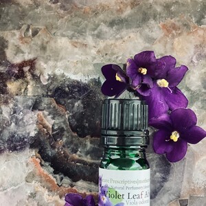 Violet Leaf Absolute Oil Viola Odorata Egypt Uncut Cucumber Note ...