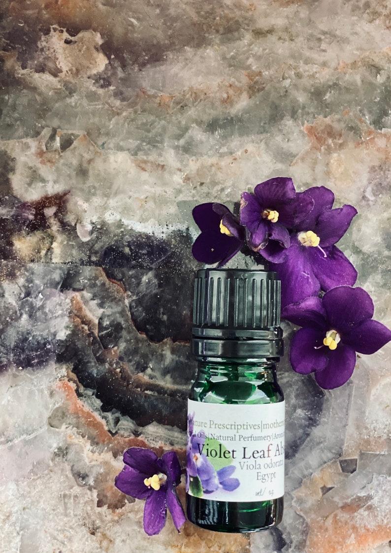 Violet Leaf Absolute Oil Viola Odorata Egypt Uncut Cucumber | Etsy