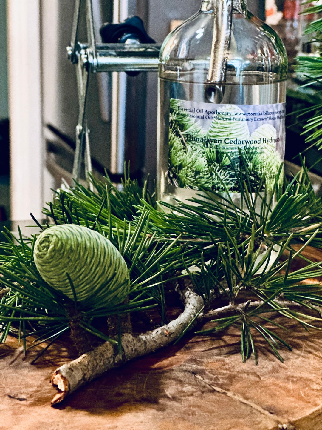 Himalayan Cedarwood Hydrosol Distilled and Foraged at Our Apothecary ...