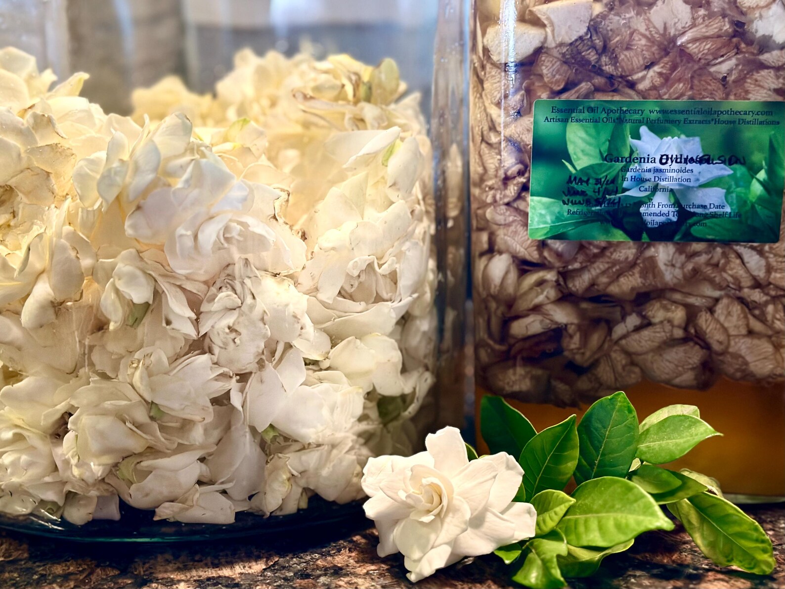 Monoi De Cali Hand Produced in California 56 Wild Harvested Gardenia ...