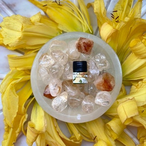 Golden Champaca Absolute Oil Michelia Champaca India Fruit Notes ...