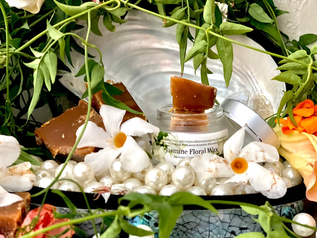Jasmine Sambac Floral Wax Jasminum Sambac India Flower Honey Mogra ...