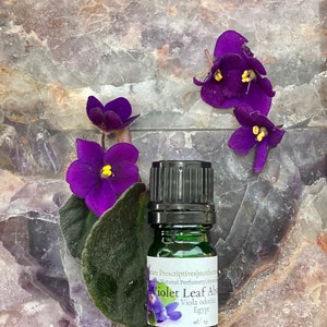 Violet Leaf Absolute Oil Viola Odorata Egypt Uncut Cucumber Note Violette Feuilles 18th Century ...