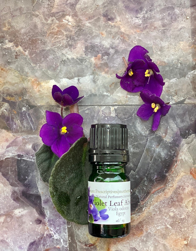 Violet Leaf Absolute Oil Viola Odorata Egypt Uncut Cucumber | Etsy