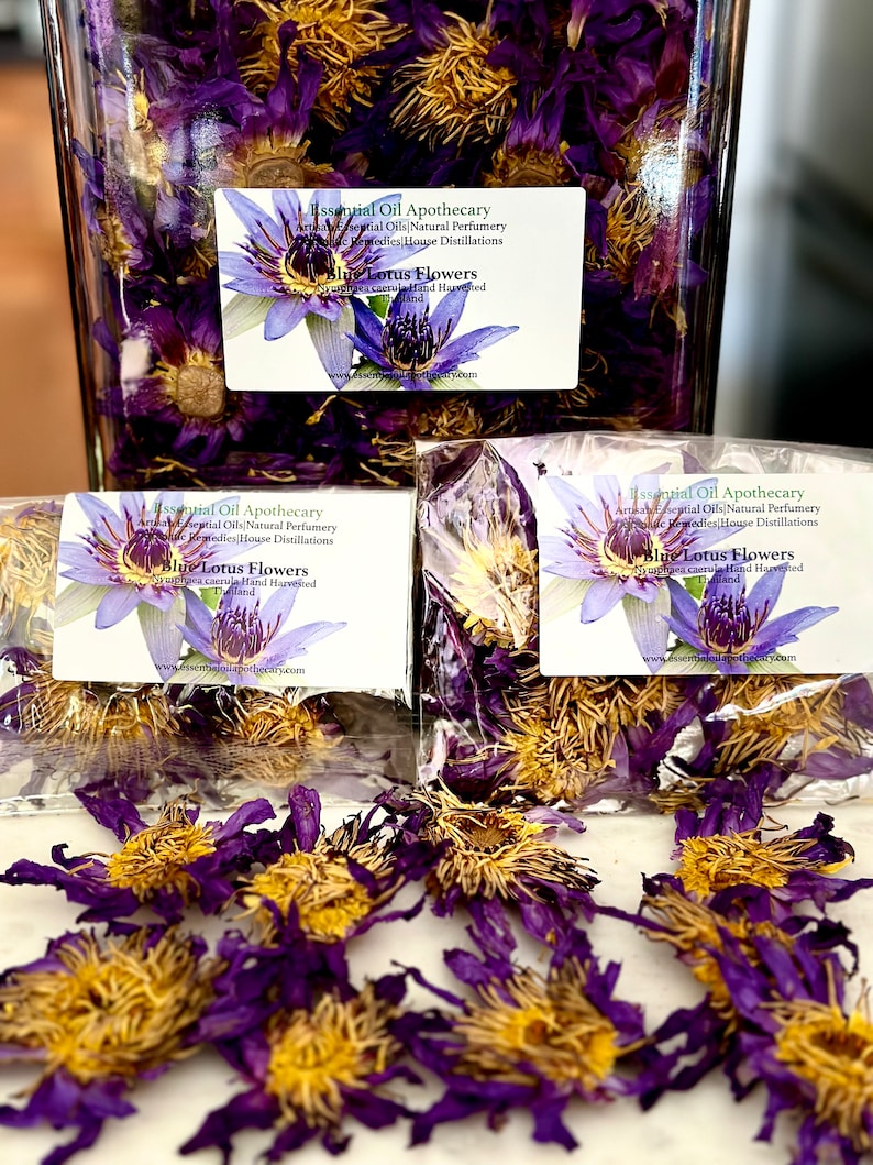 Blue Lotus Whole Flowers Dried Organic Blue Lotus From Our Artisan Blue ...