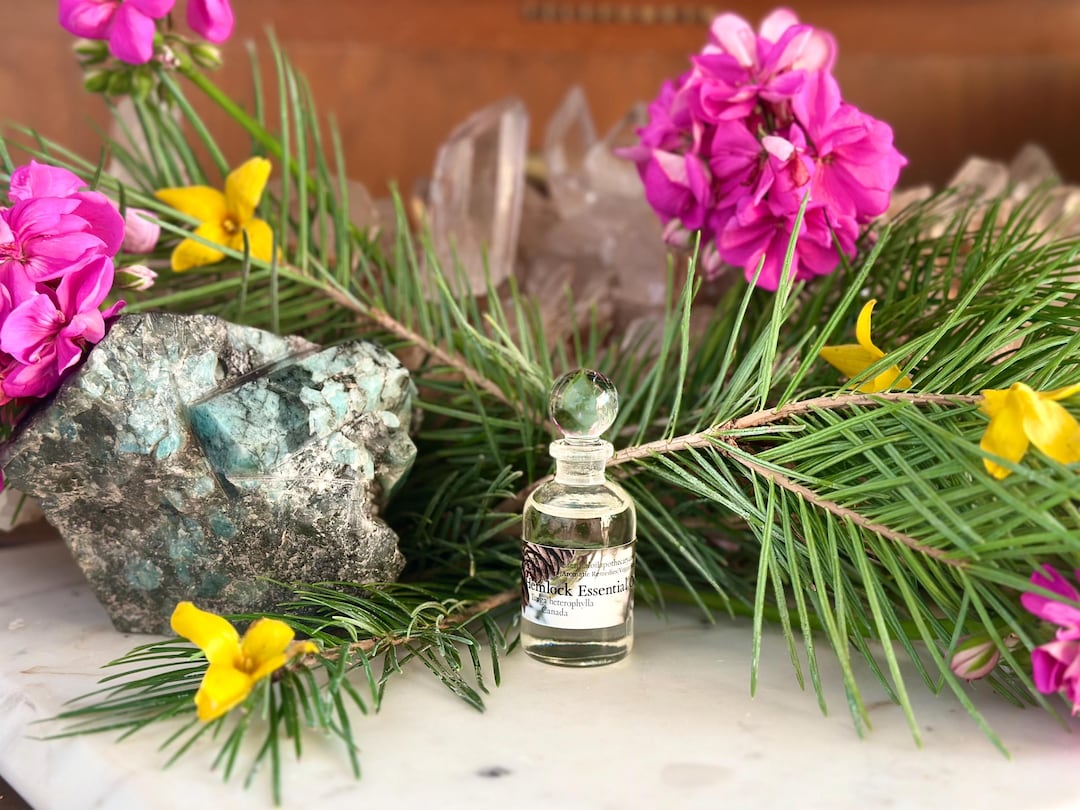 Hemlock Essential Oil Canada Tsuga Heterophylla Artisan Production ...