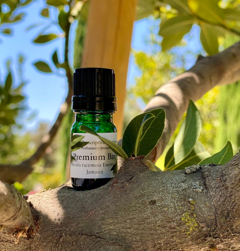 Jamaican Bay Essential Oil Bay Rum Pimenta Racemosa Jamaica Eau De ...