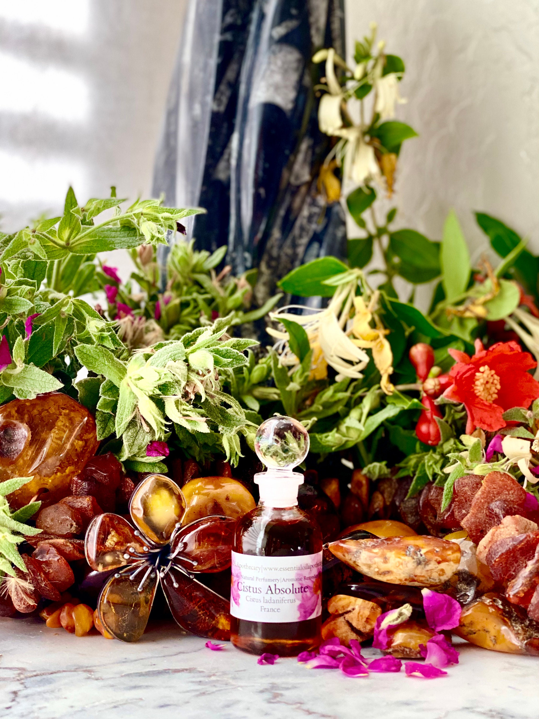 Cistus Absolute Rock Rose Cistus Ladaniferus France Amber - Etsy UK