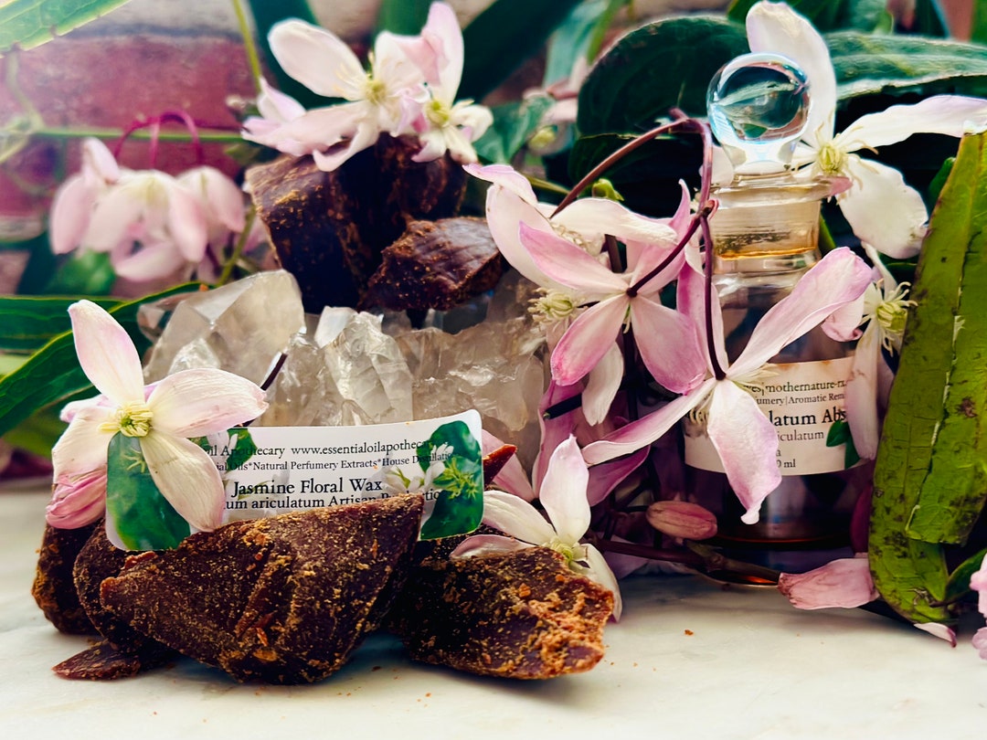 Jasmine Auriculatum Floral Wax India Artisan Production Spicy Jasmine ...