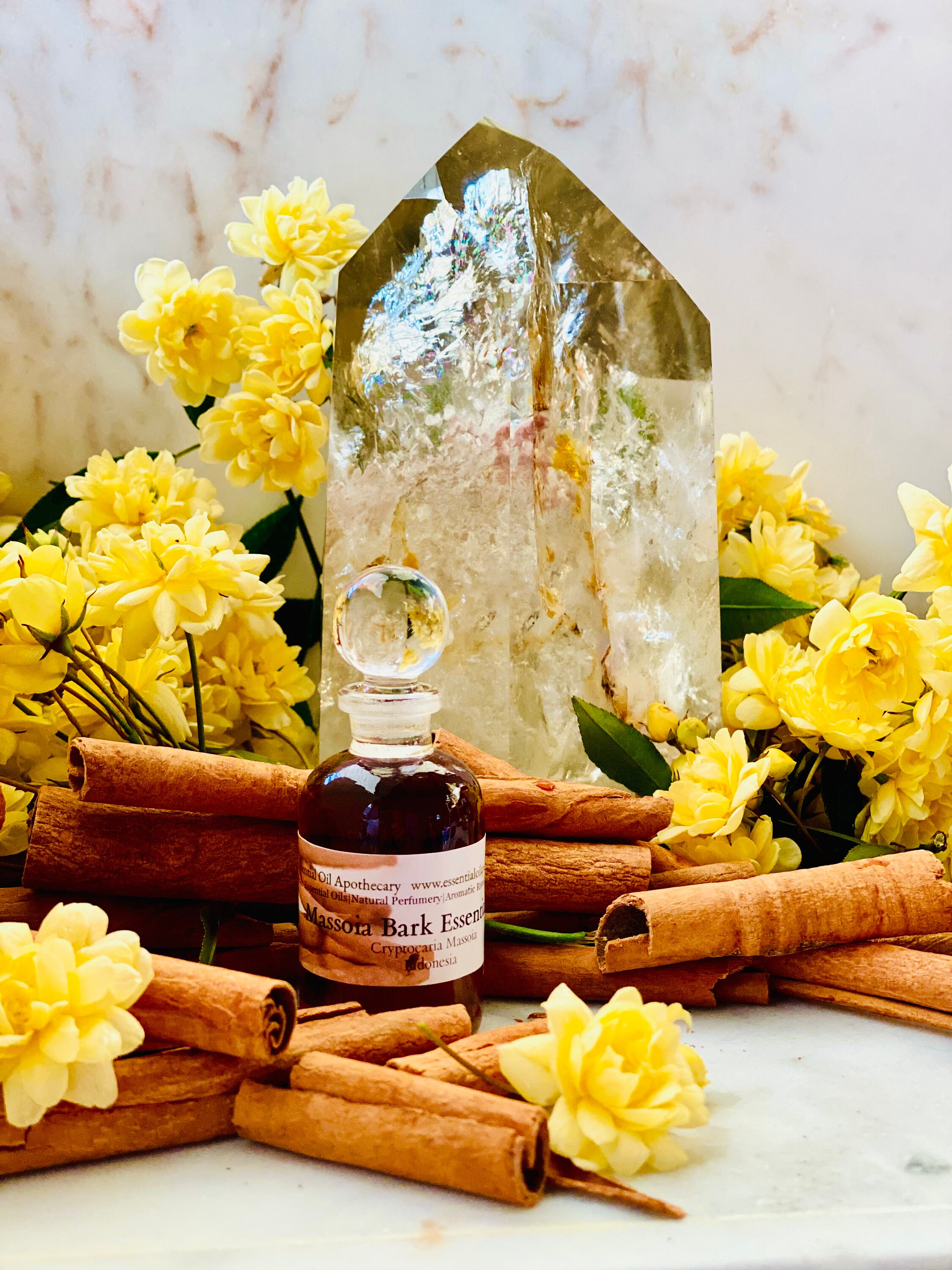 Massoia Bark Essential Oil. Cyrptocarya Massoia Indonesia | Etsy