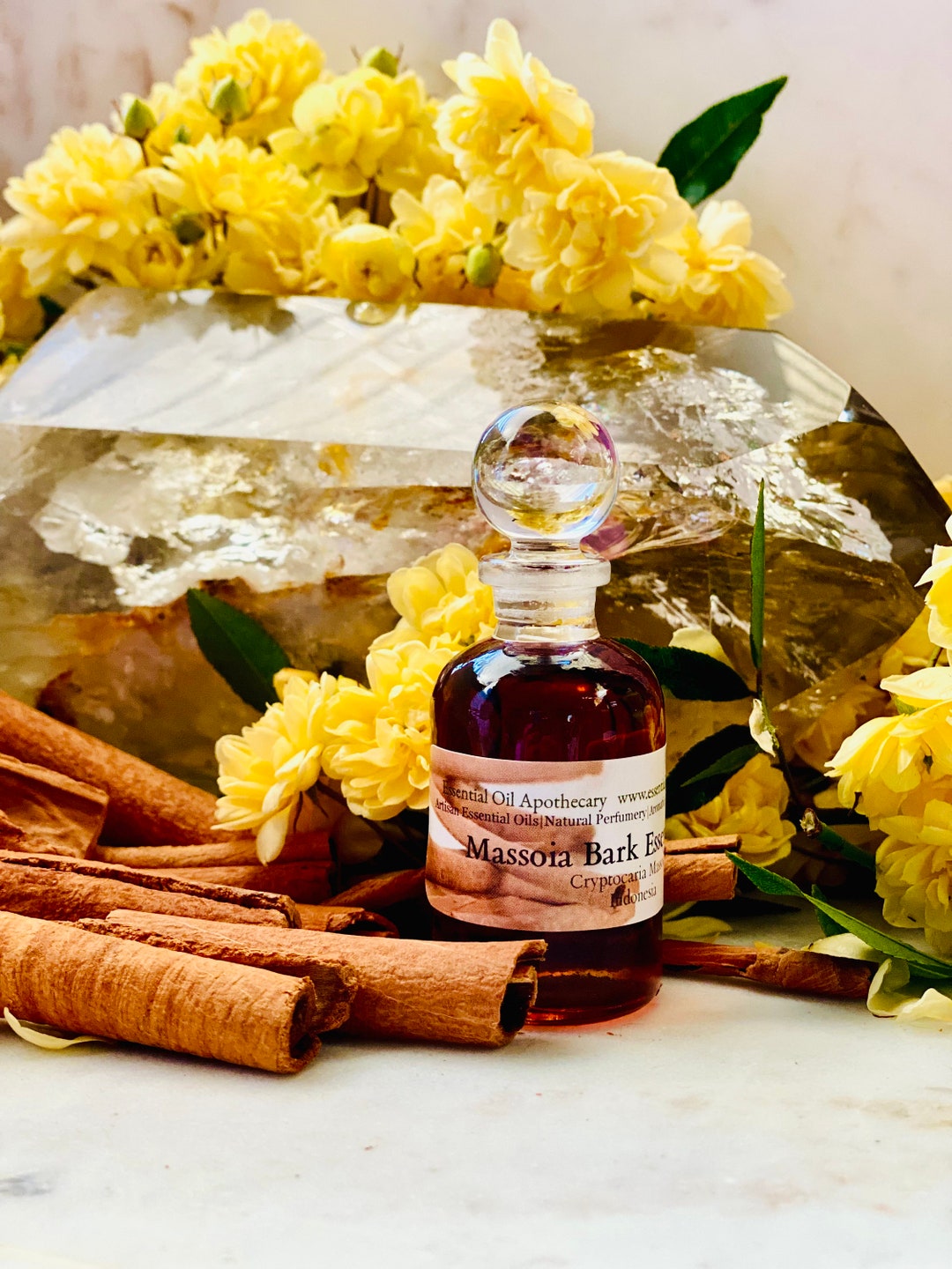 Massoia Bark Essential Oil Cyrptocarya Massoia Indonesia Papua Region ...