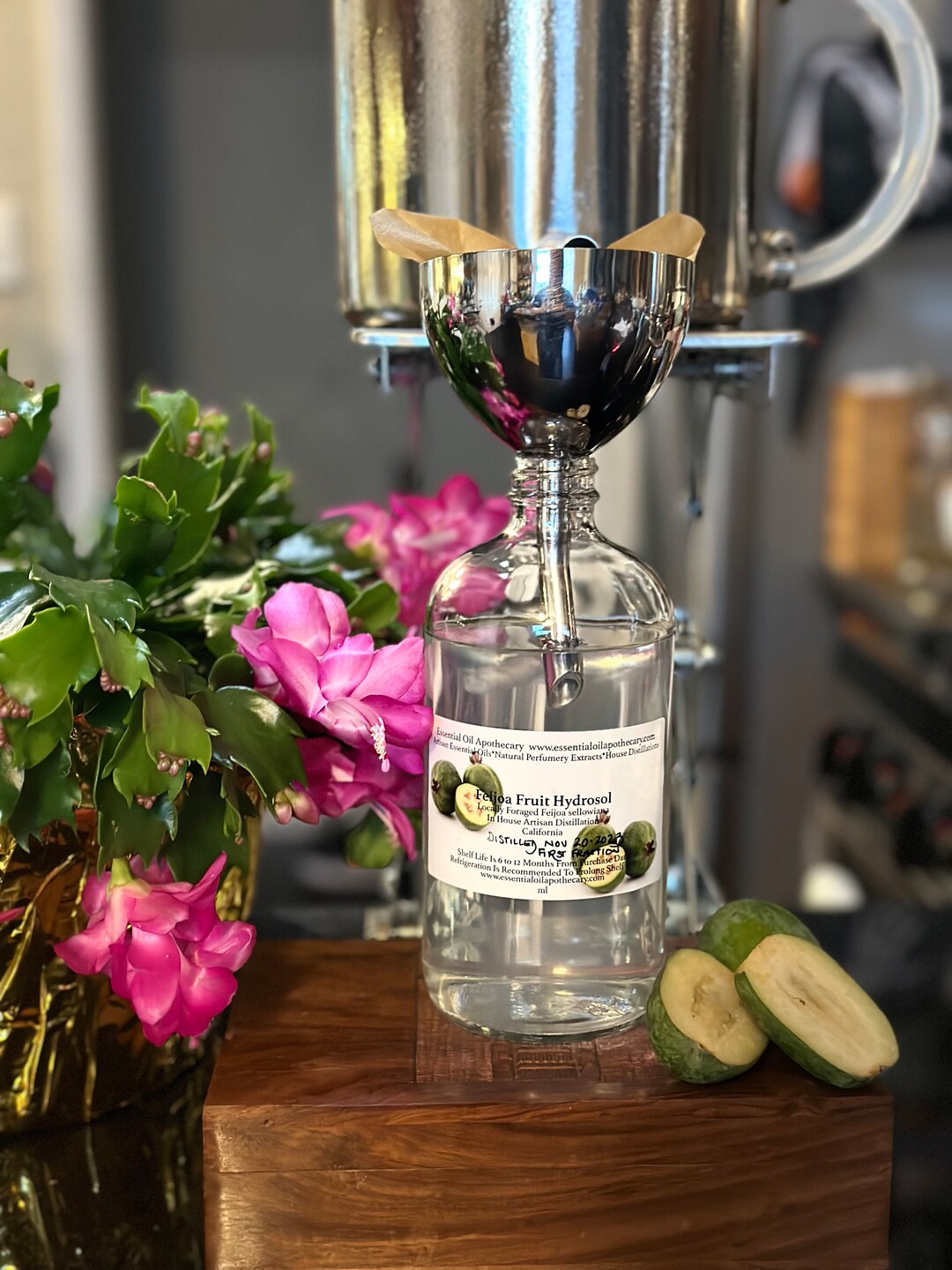 Feijoa Fruit Hydrosol Foraged Distilled at Our Apothecary Ylang Ylang ...