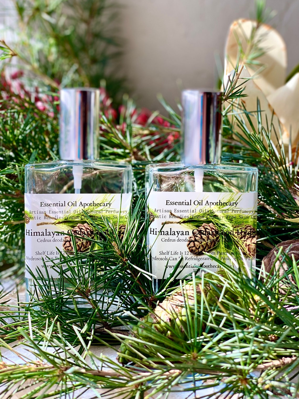 Himalayan Cedarwood Hydrosol Distilled and Foraged at Our Apothecary ...