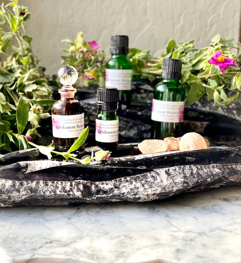 Wild Crafted Labdanum Pourable Resinoid Oil Cistus Ladaniferus Spain ...
