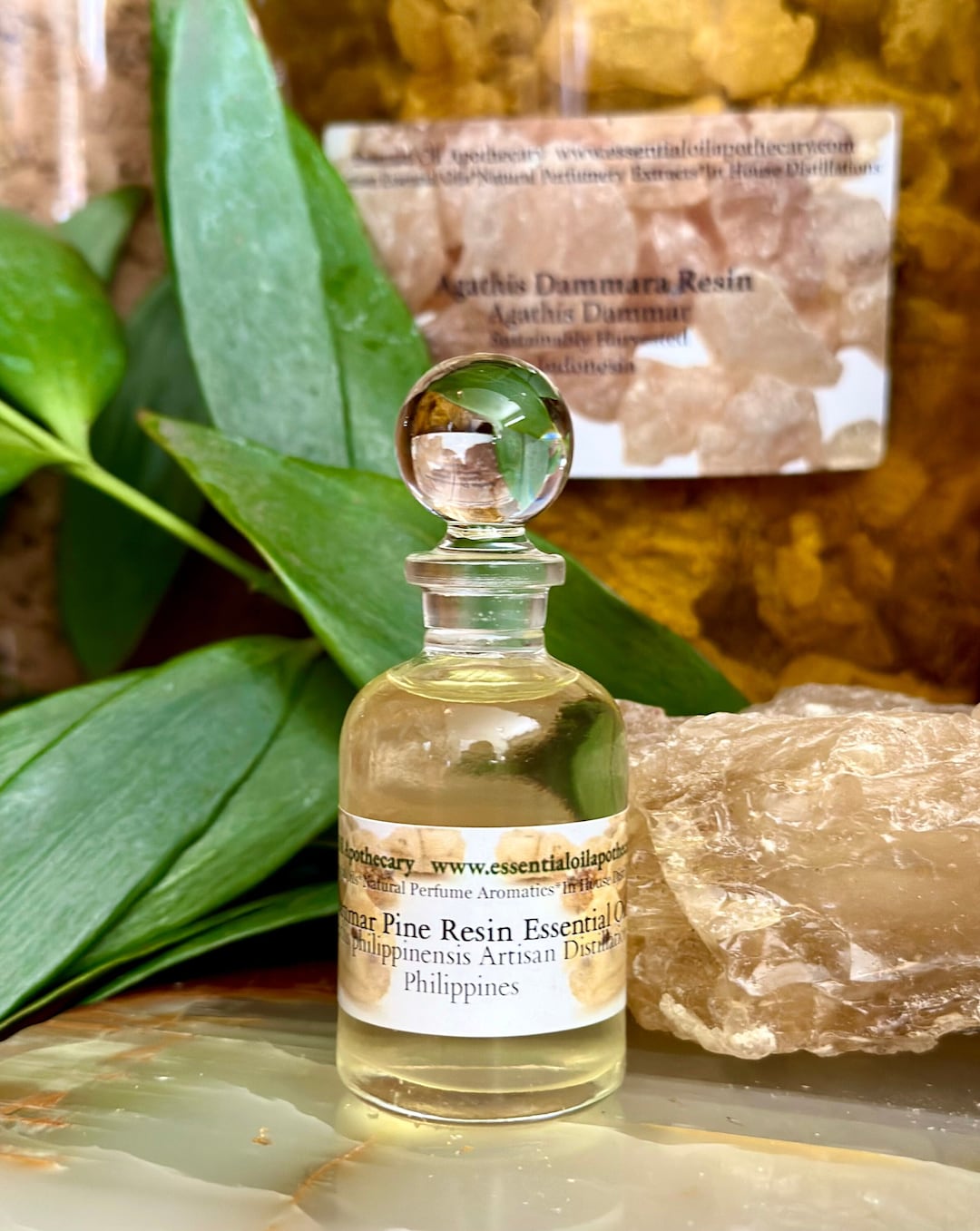 Dammar Pine Essential Oil Philippines Rare Agathis Dammara Amboina Pine ...