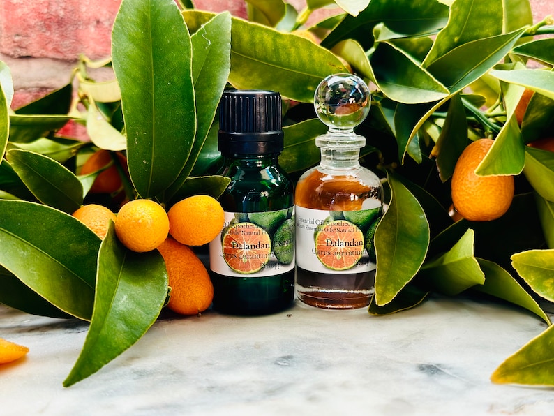 Dalandan (citrus Aurantium) Essential Oil Filipino Orange Oil Small ...