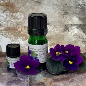 Violet Leaf Absolute Oil Viola Odorata Egypt Uncut Cucumber Note ...