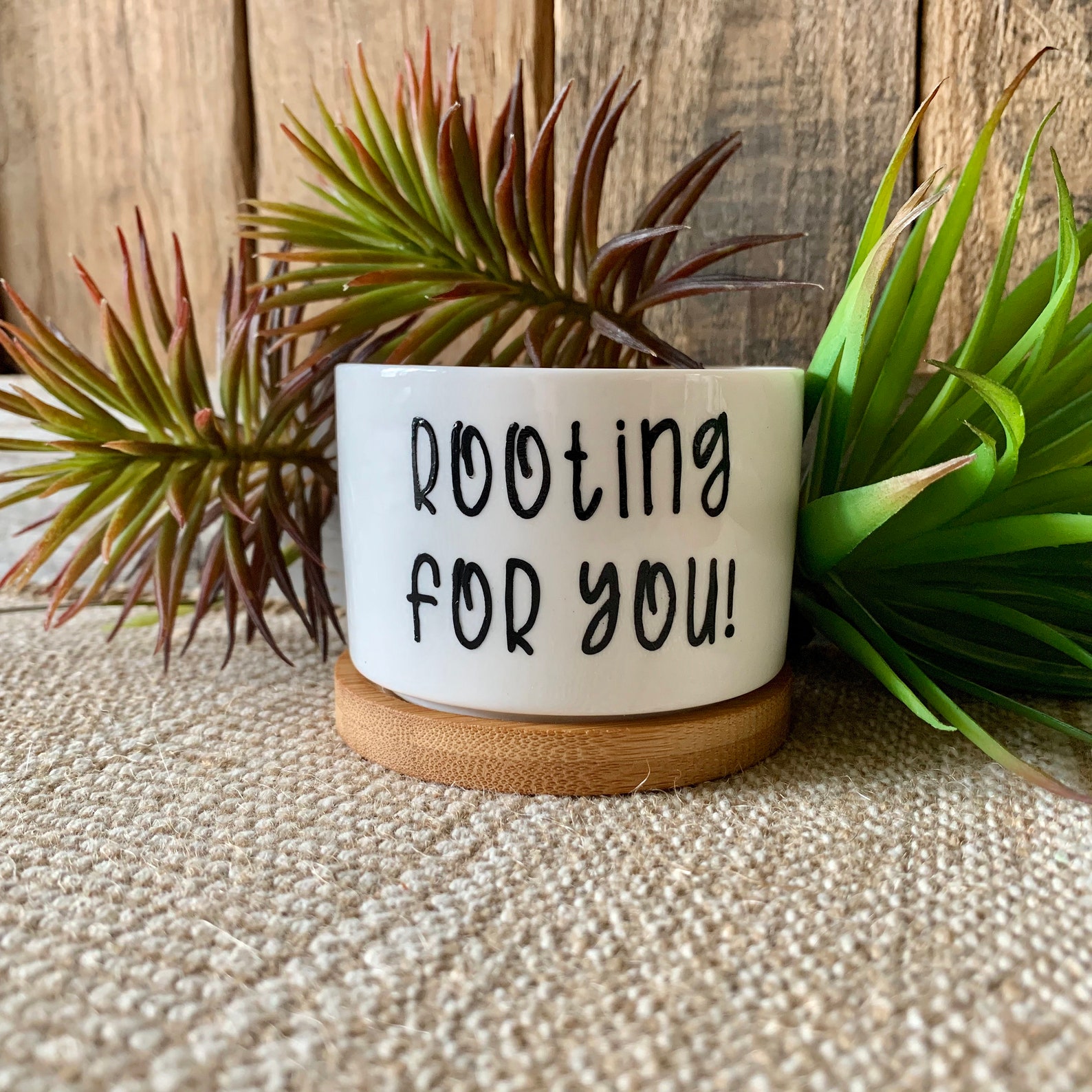 Support Planters Succulent Planter Single or 3-pack You Grow - Etsy