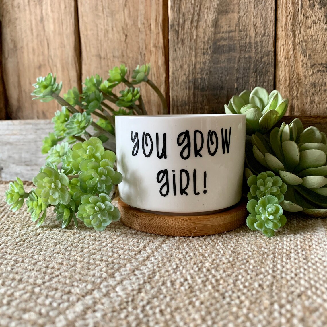Support Planters Succulent Planter Single or 3-pack You Grow - Etsy