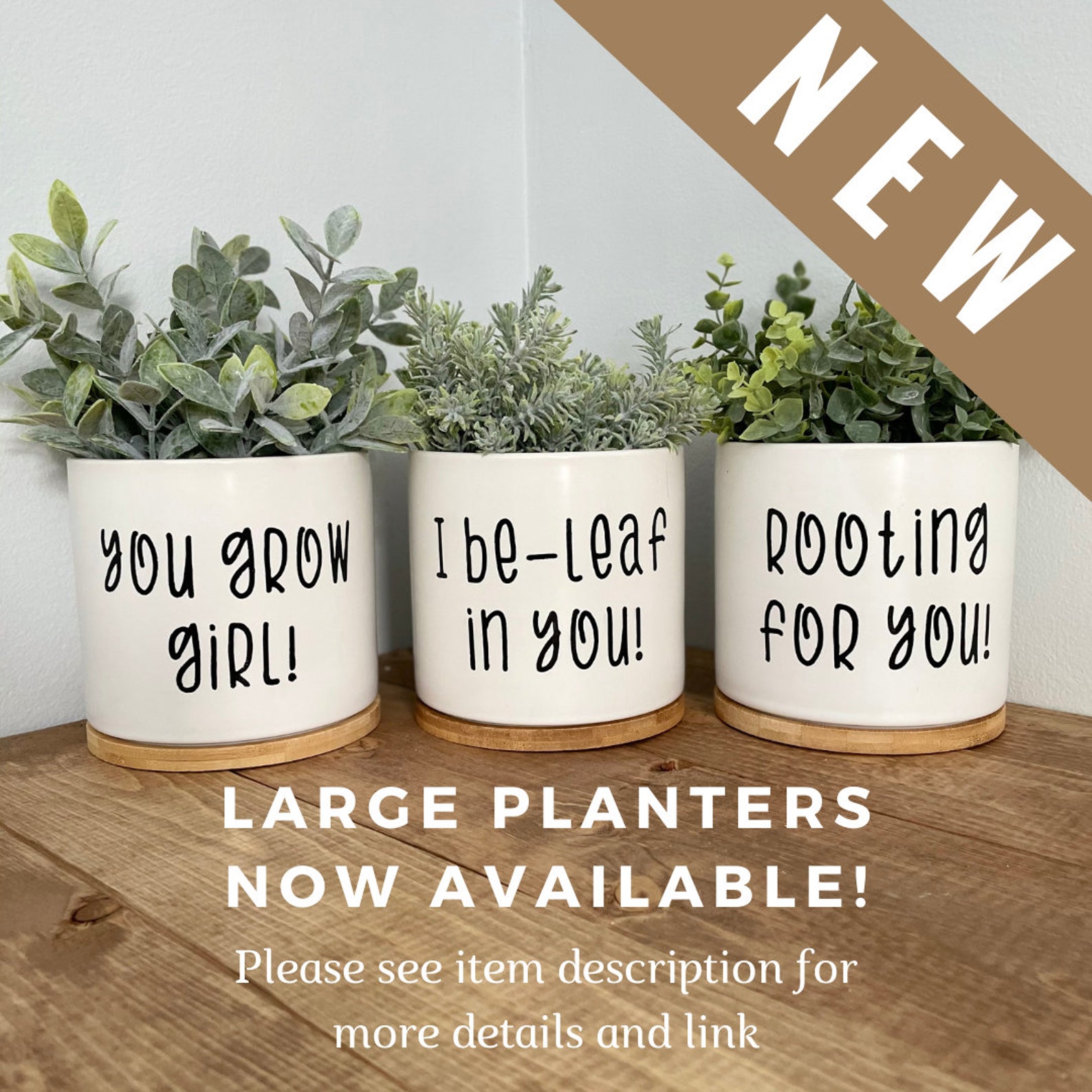 Support Planters Succulent Planter Single or 3-pack You Grow - Etsy