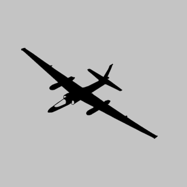 U2 Dragon Lady Decal - Etsy