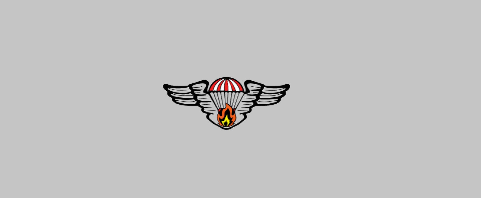 Smokejumper Hand Assembled Multi-colored VIP Vinyl Decal Helicopter ...