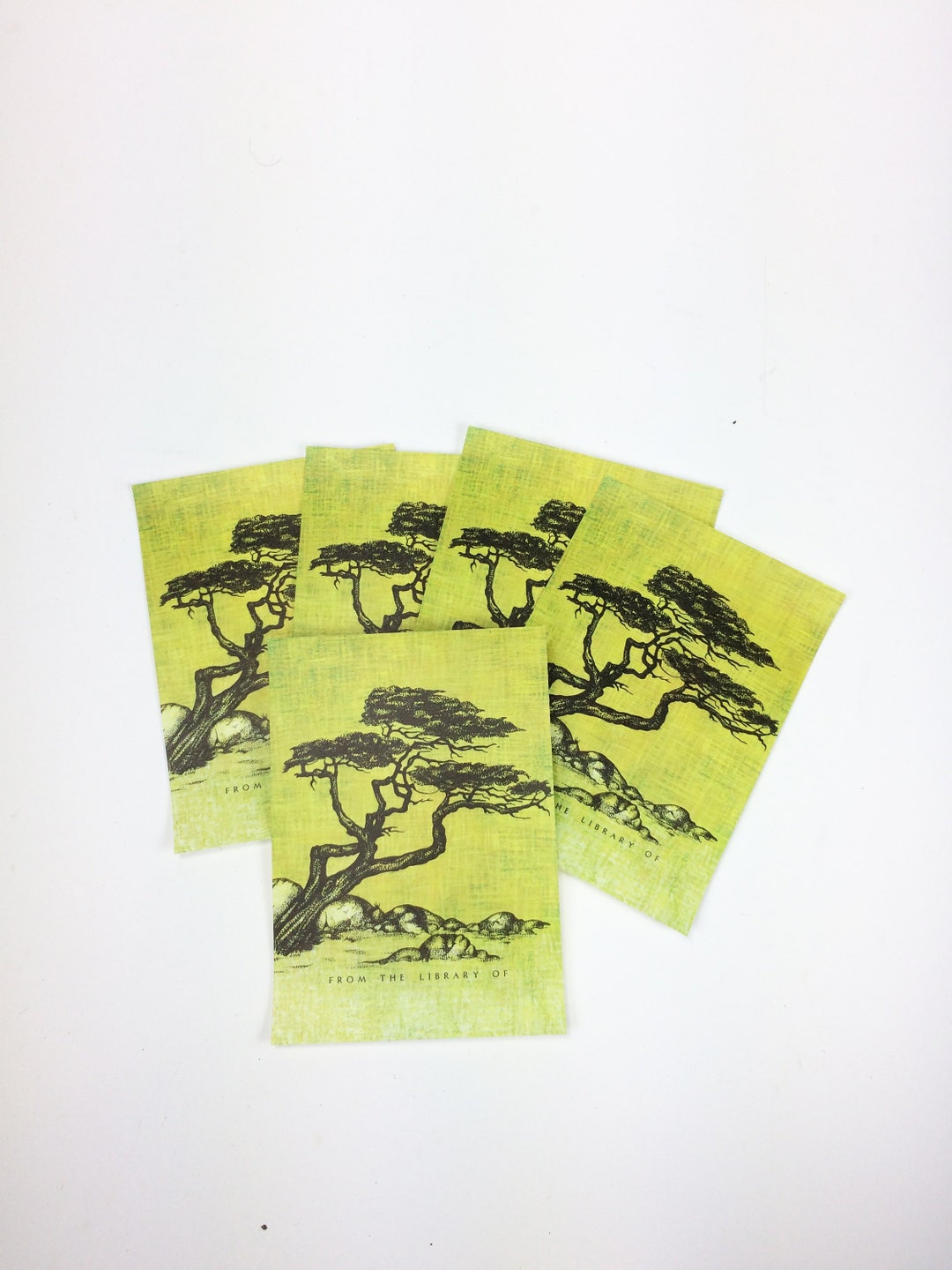 Set of 5 Vintage Bookplates Antioch Bookplate Co. Vintage - Etsy