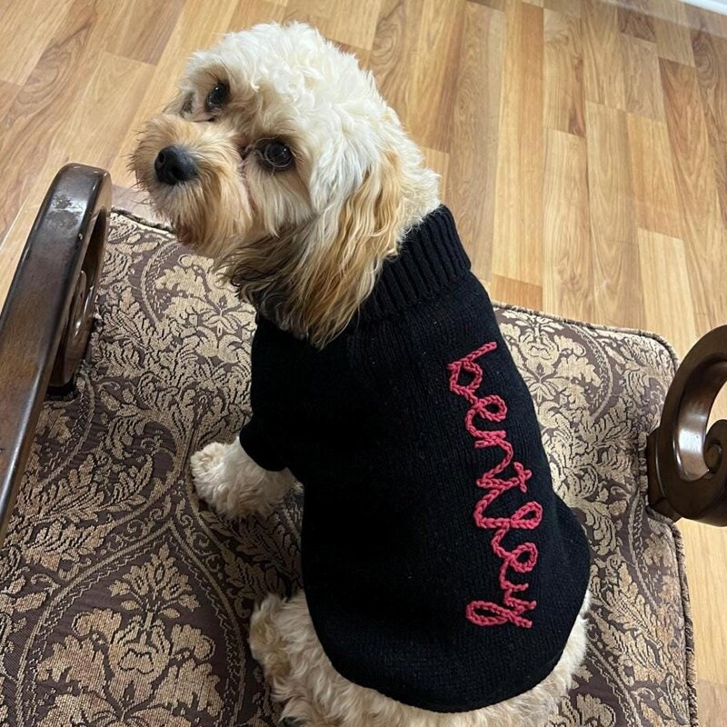 Custom Dog Clothes - Etsy