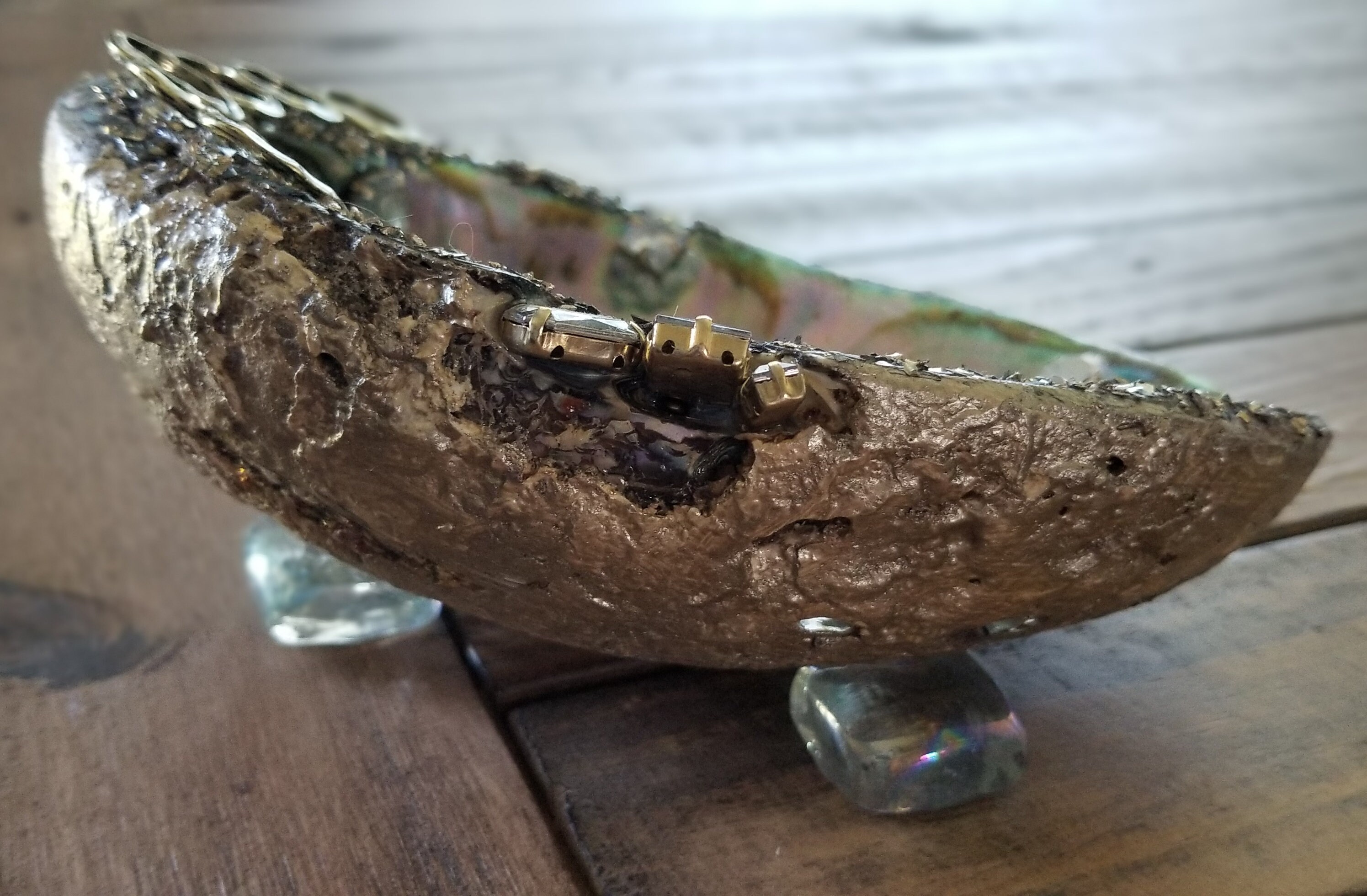 Abalone Jewelry Bowl, Moonstone Shell, Jeweled Shell Dish-bowl From ...