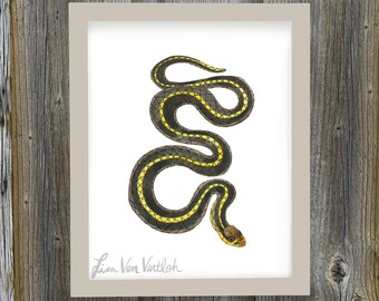 Garter snake | Etsy