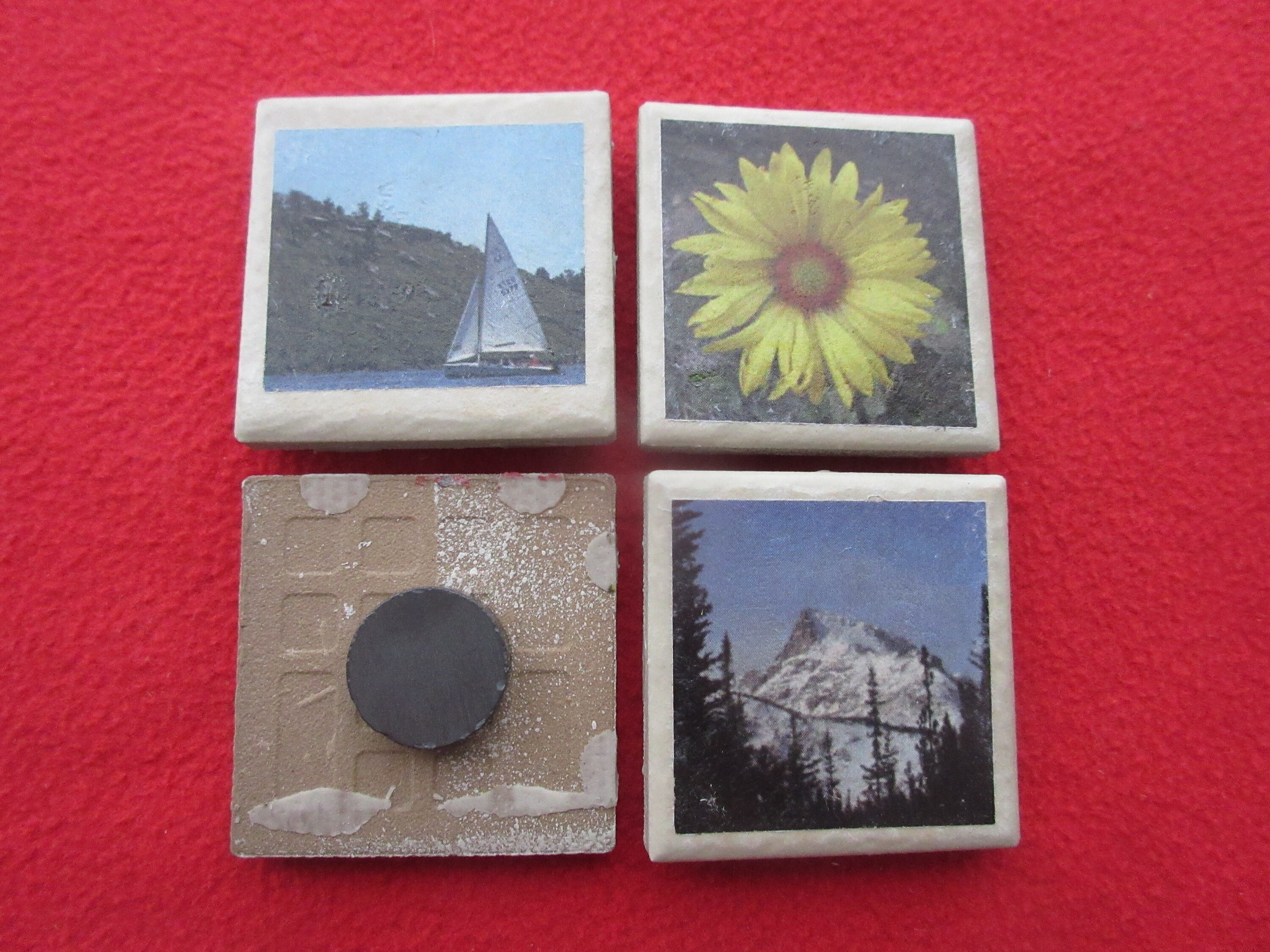 Colorado Ceramic Magnets - Set of 4. Refrigerator Art, Kitchen Decor ...