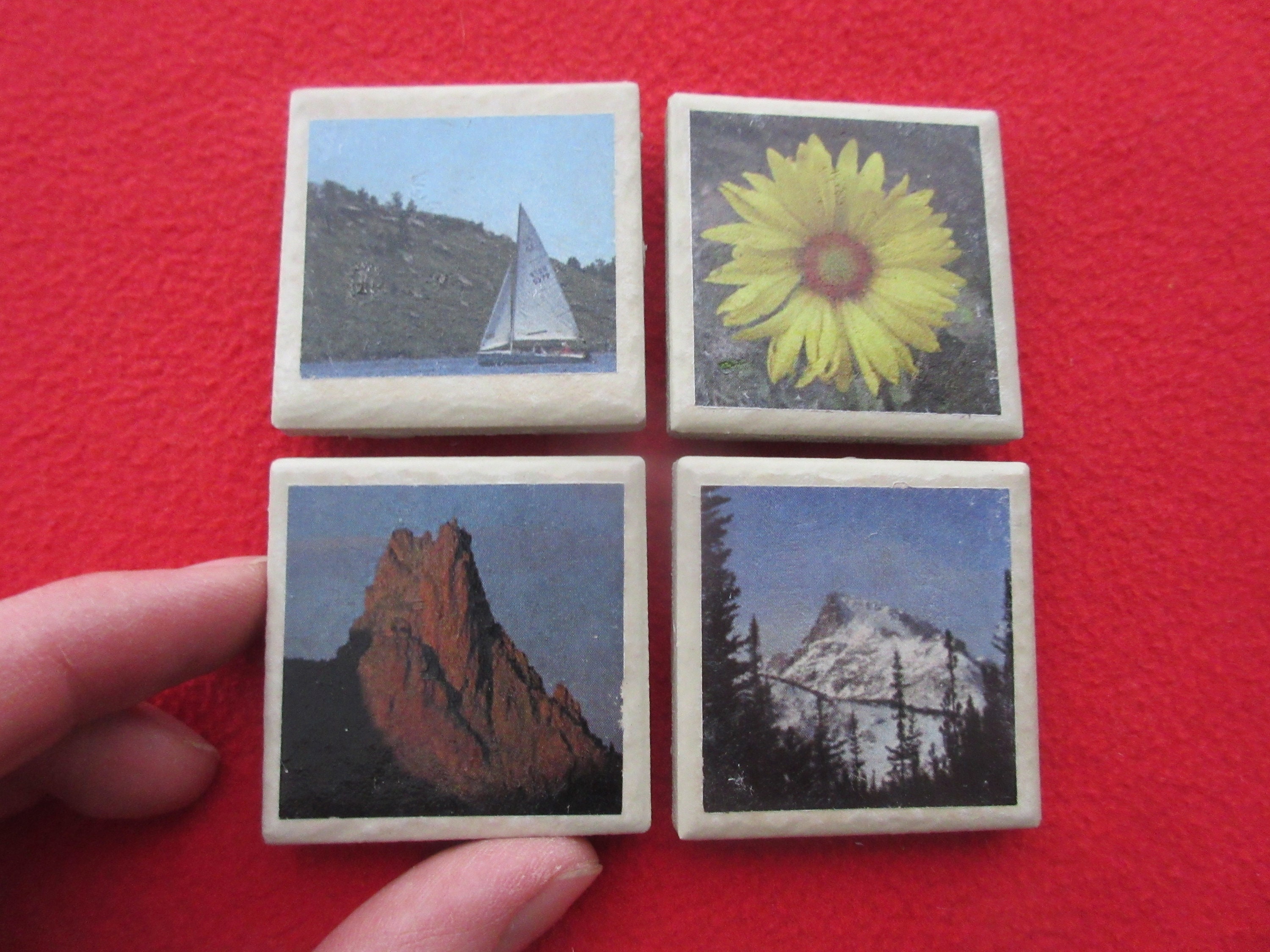 Colorado Ceramic Magnets - Set of 4. Refrigerator Art, Kitchen Decor ...