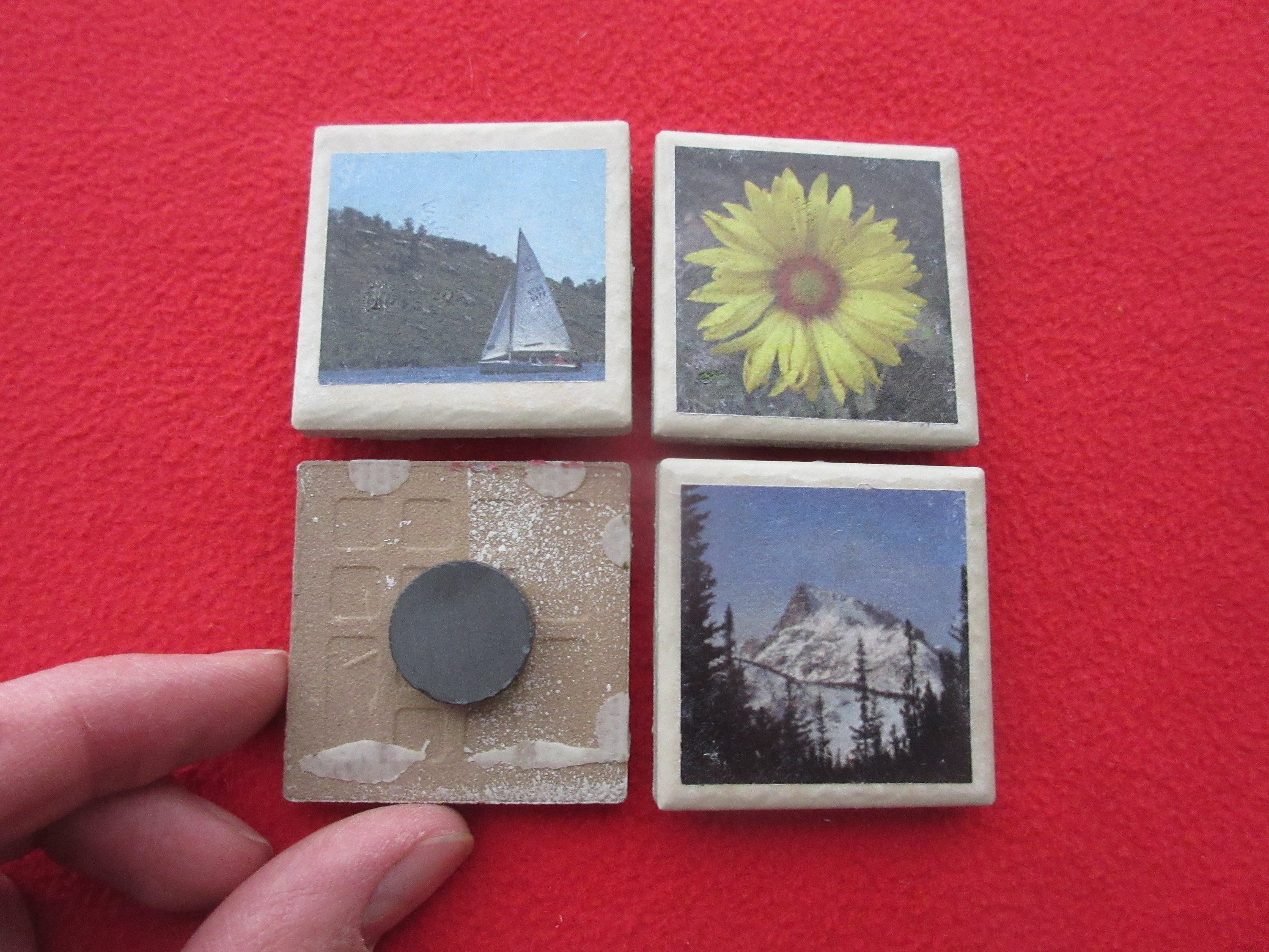 Colorado Ceramic Magnets - Set of 4. Refrigerator Art, Kitchen Decor ...