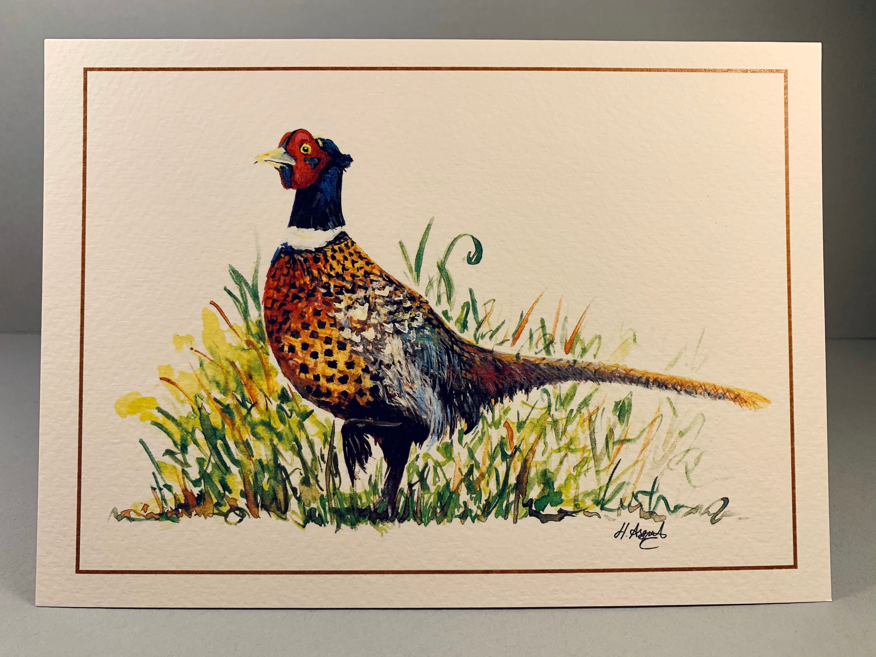 The Magnificent Pheasant Greeting Card, Birthday, Christmas, Any ...