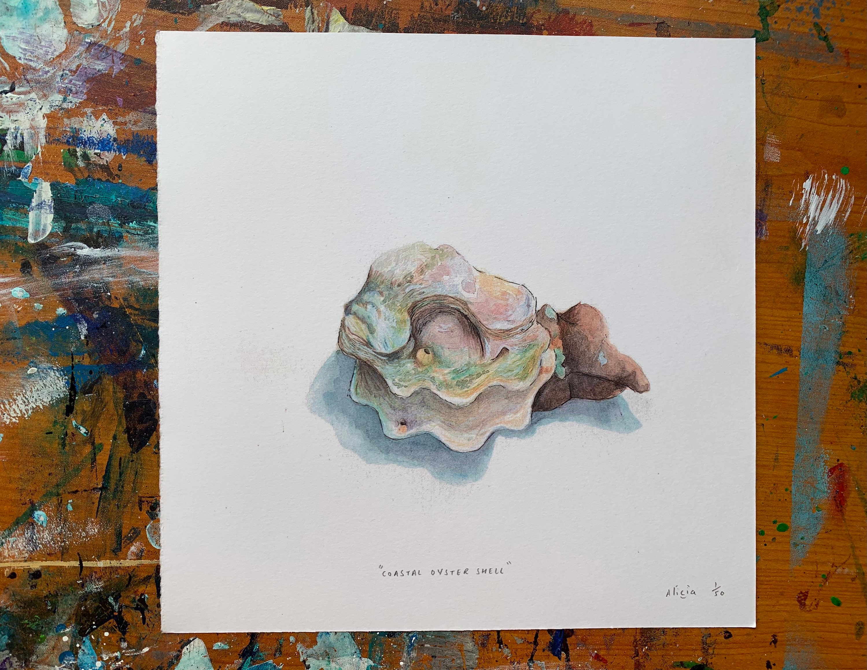 Coastal Shells Set of 3 Signed Prints - Etsy