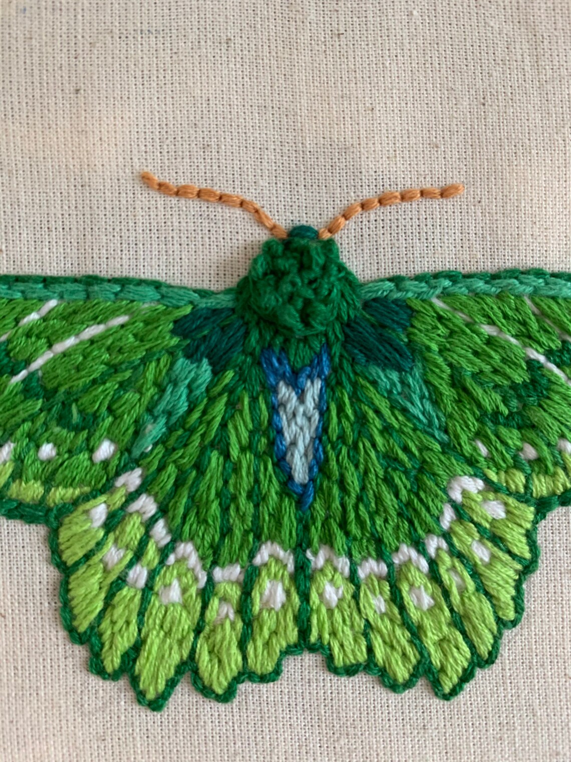 Hand Embroidered Large Emerald Moth - Etsy