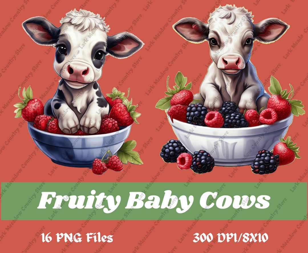 Fruity Baby Cows, Cute Baby Cows in Fruit Bowls, Baby Cows ...