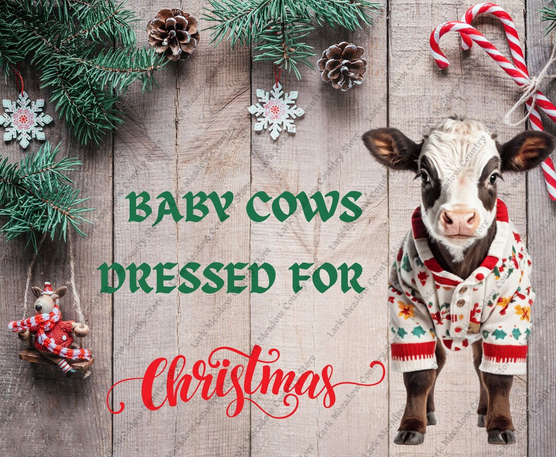 Christmas Cow Clipart, Baby Cow Dressed for Christmas, Cow Clipart, Fun ...