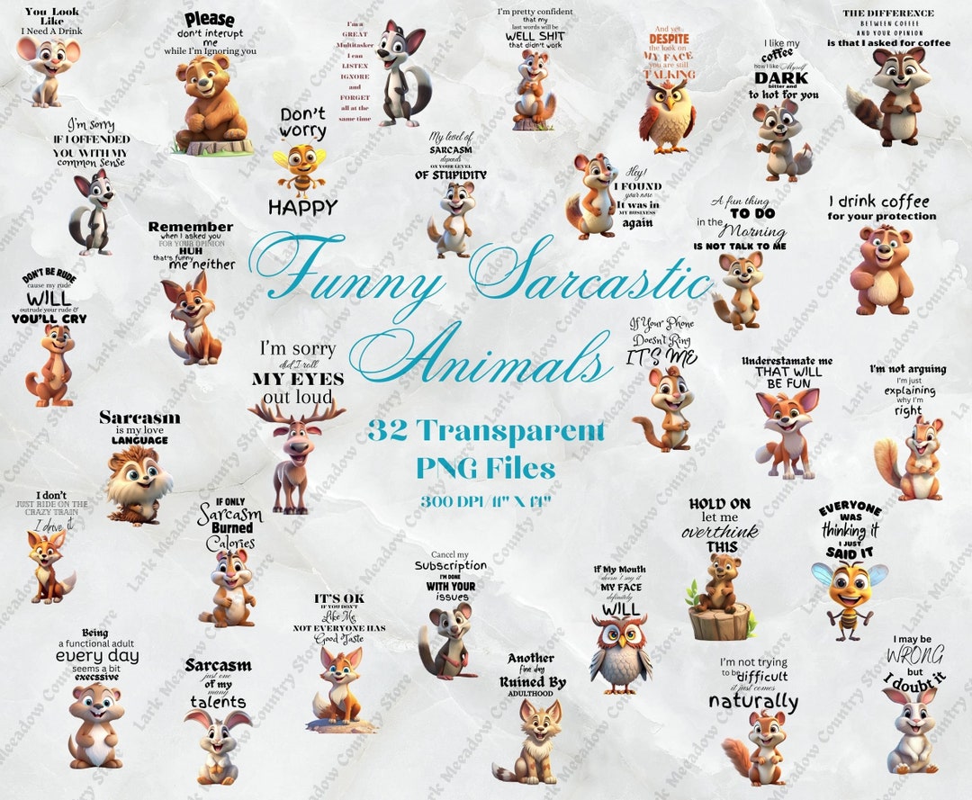 Funny and Cute Sarcastic Animals, Commercial Use, Clipart PNG Bundle ...