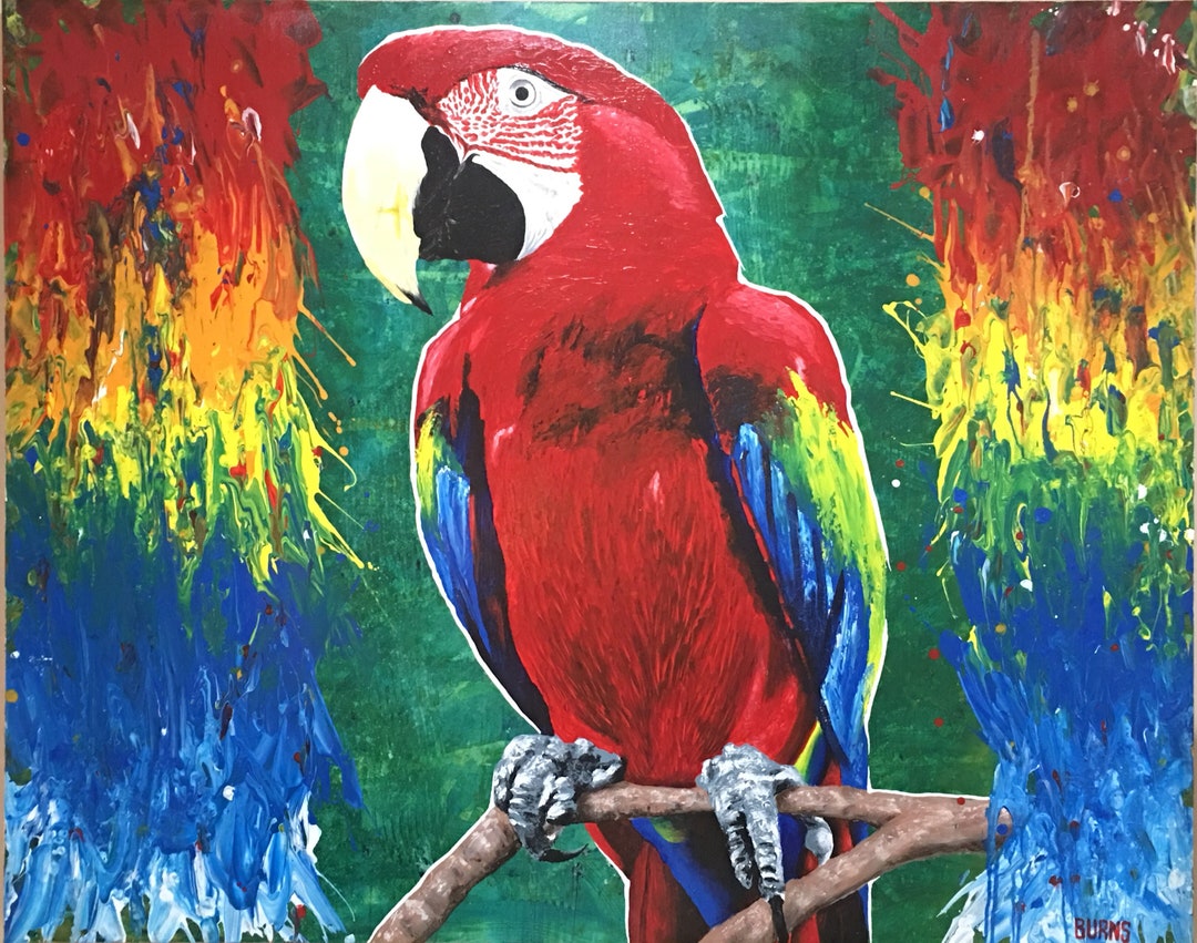 Bird of Many Colors - Etsy